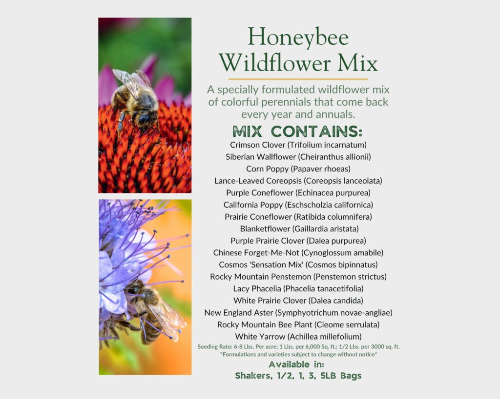 Honey Bee Wildflower Mix - Attract Bees with AVSeeds