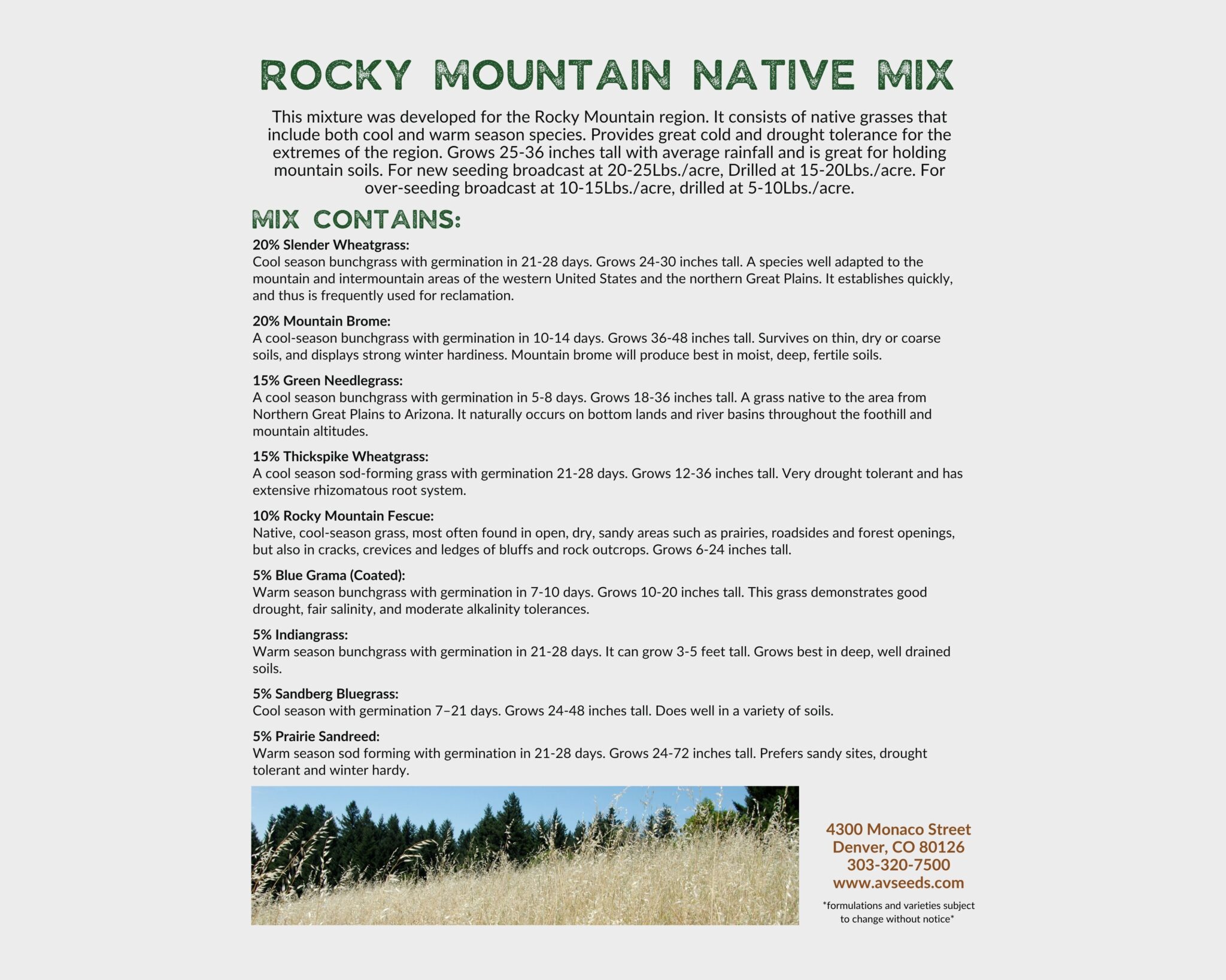 Rocky Mountain Native Mix - Enhancing Mountain Soil Resilience | AVSeeds