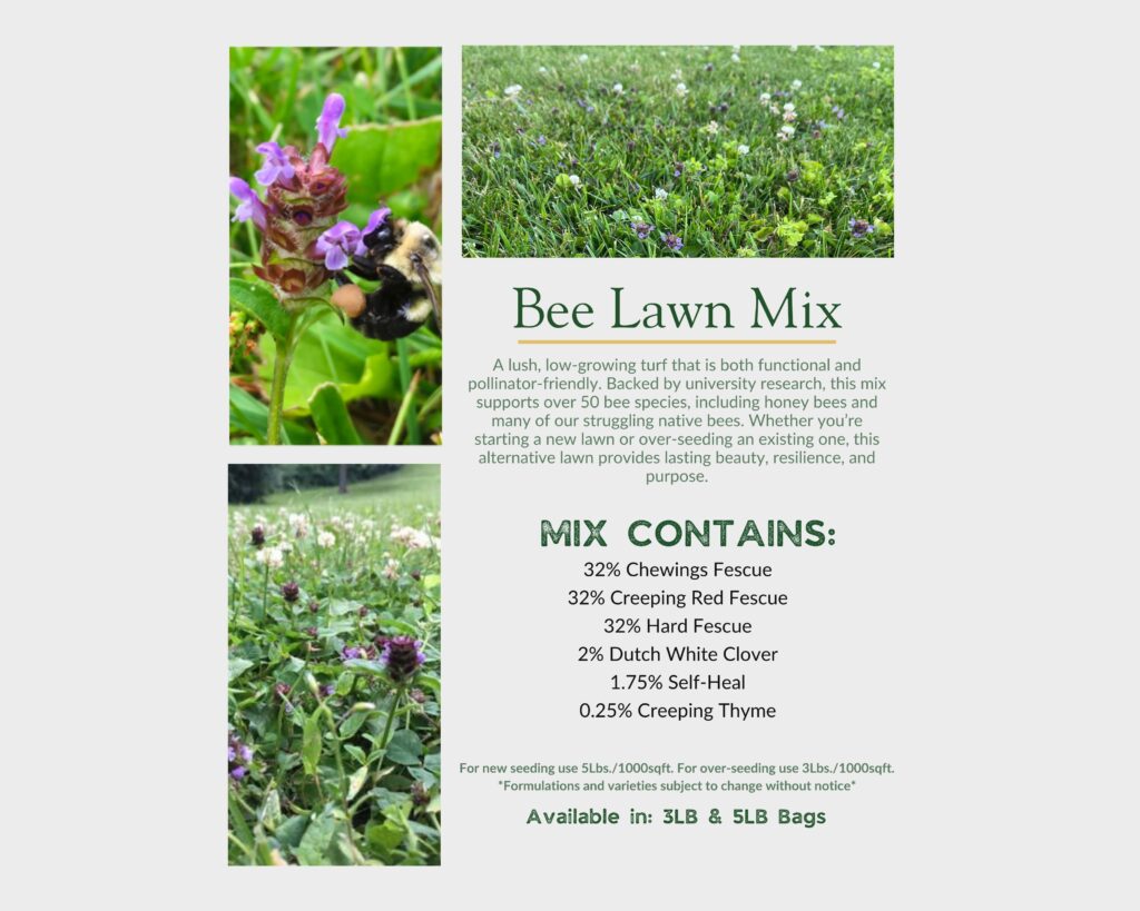 Bee Lawn Mix - AVSeeds